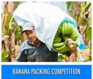 The Innisfail Show | Cassowary Coast, North Queensland